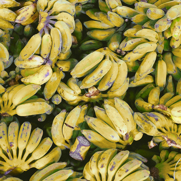 Bananina brasiliana | La Bottega del Gelato